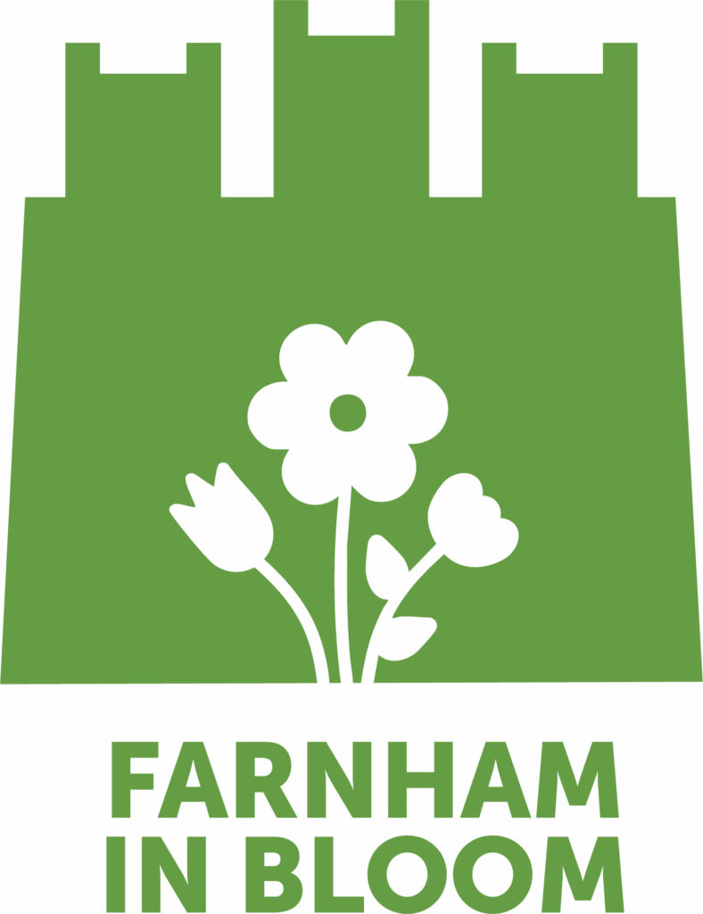 Farnham Sustainability Festival Archives - Farnham Town Council