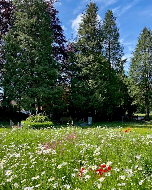 Help Out at Badshot Lea Cemetery - Farnham Town Council